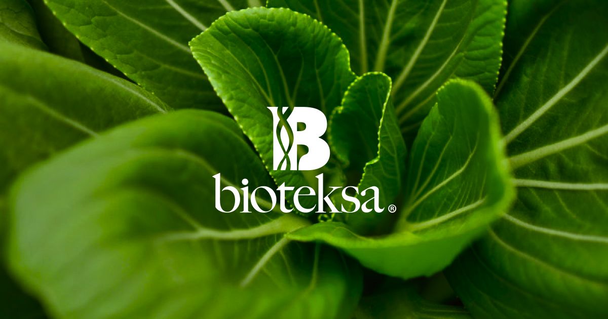 Bioteksa | Inteligencia que nutre